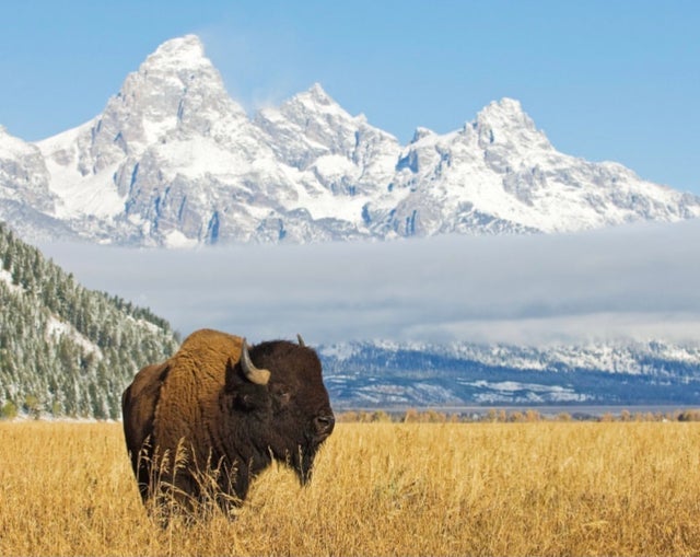 earthen rare / Beverly Moore Artisan Jewelry